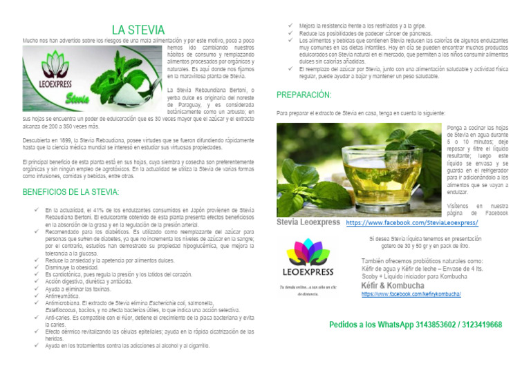 STEVIA | PDF