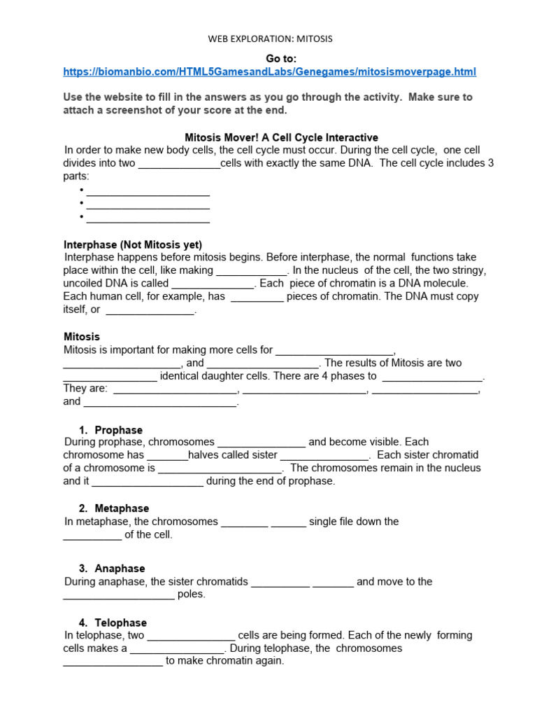 Mitosis Mover Webquest Bioman PDF | PDF | Mitosis | Chromosome