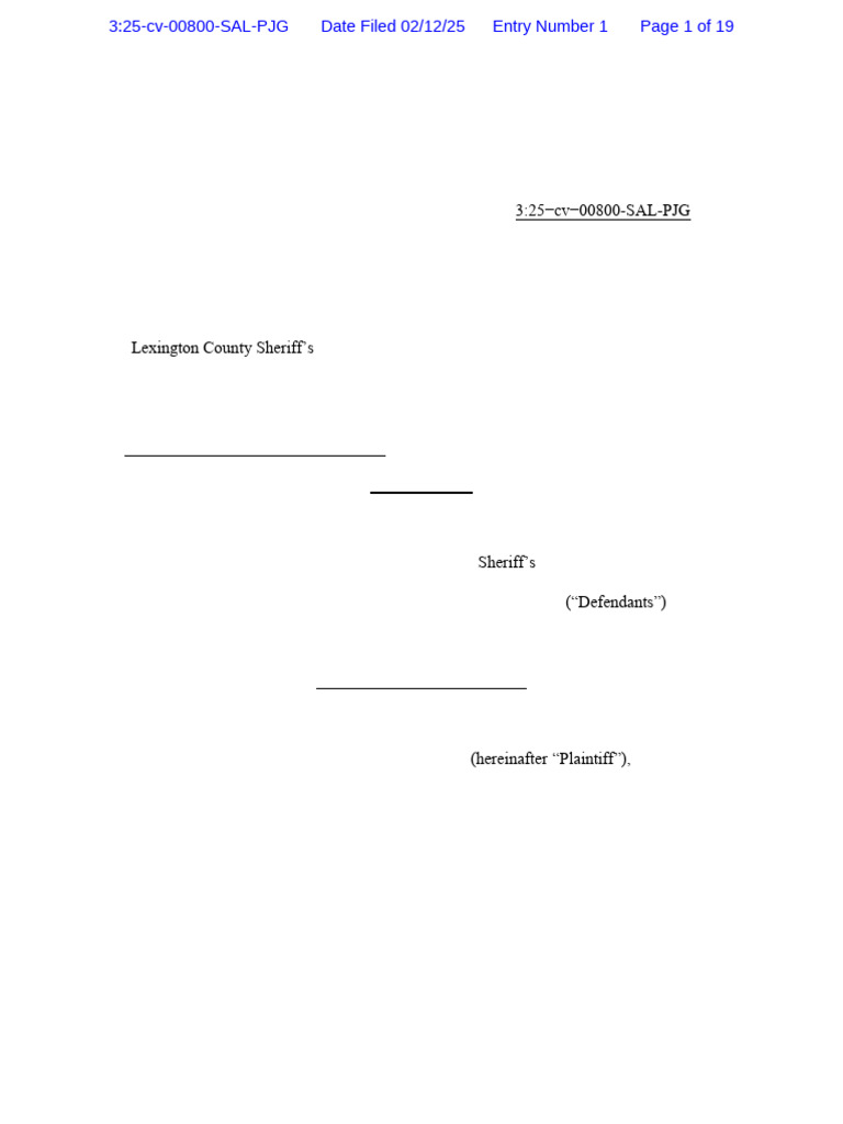 Brenda Inabinette Complaint | PDF | Negligence | Legal Liability