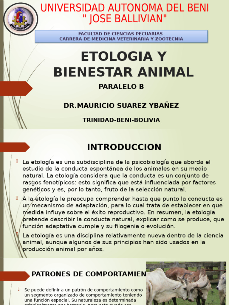 Tema #1 Etologia y Bienestar Animal | PDF | Comportamiento | Vacas