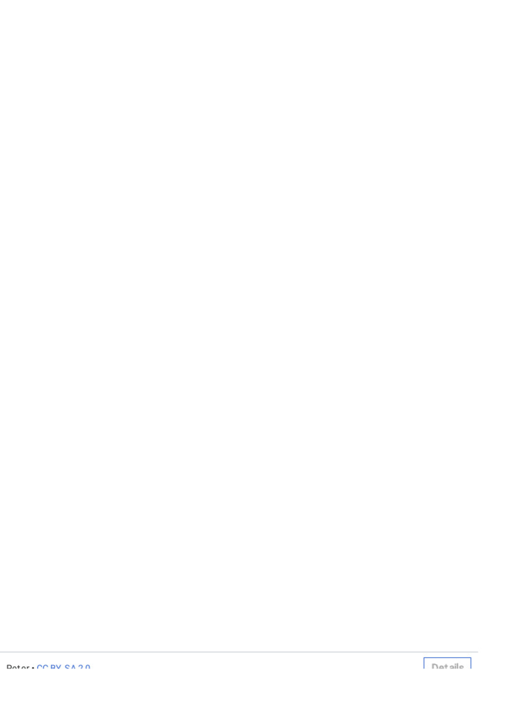 Badminton - Wikipedia | PDF
