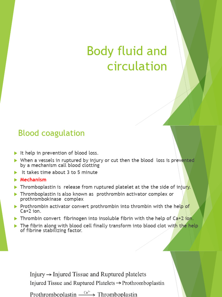 Body Fluid and Ciculation 11 | PDF | Lymph | Circulatory System
