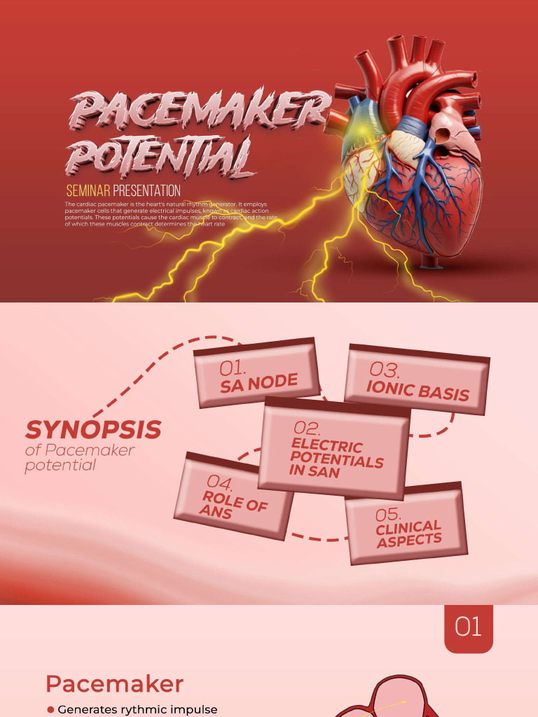 Pacemaker Potential-PPT | PDF
