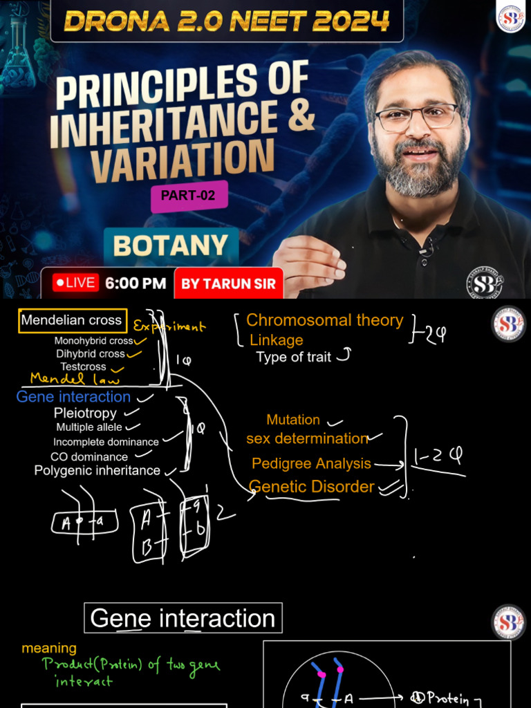 Principle Of Inheritance 2 Pdf
