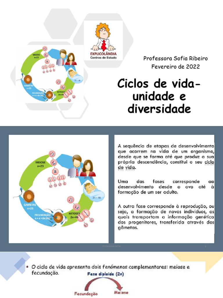Ciclos de Vida: Unidade e Diversidade | PDF