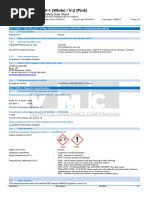 Xs-Pt-904210-12-P3-Horolith V (116898e) | PDF