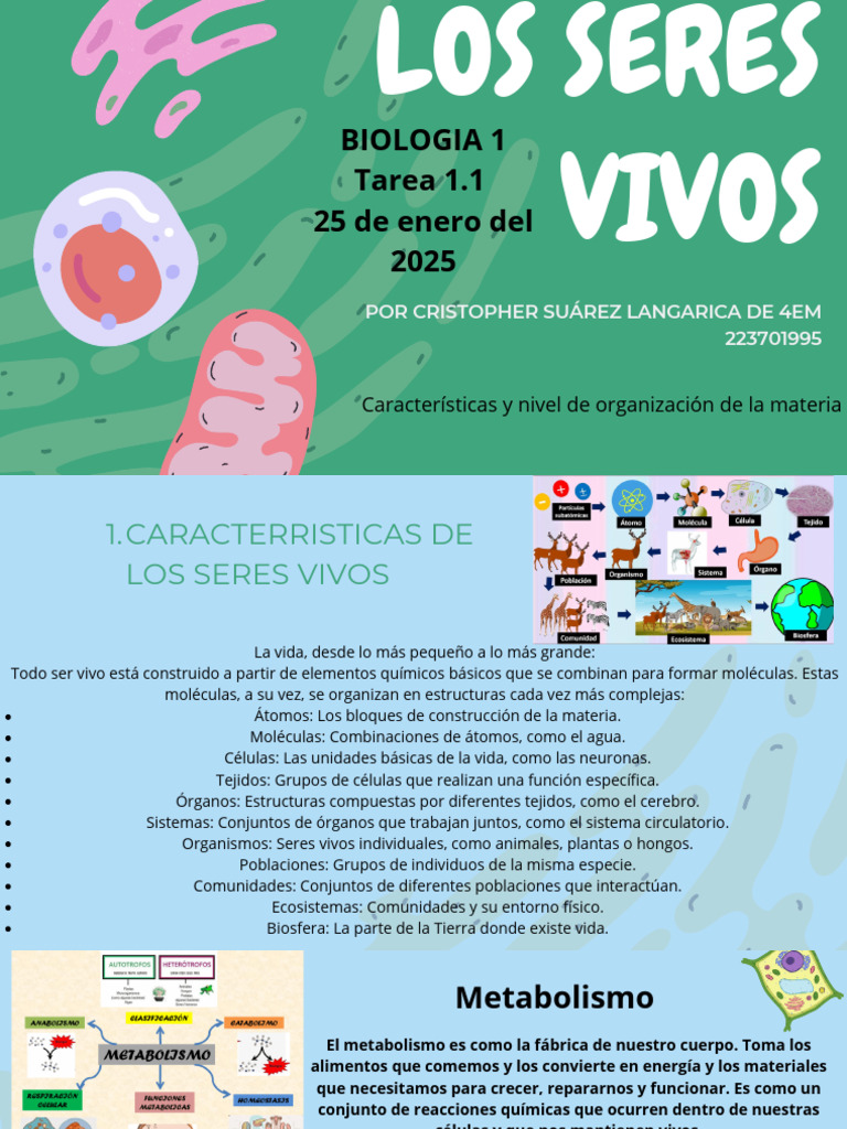 Características de los Seres Vivos | PDF | Reproducción | Homeostasis