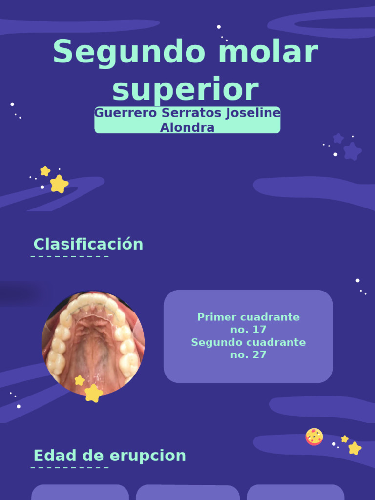 Segundo Molar Superior | PDF