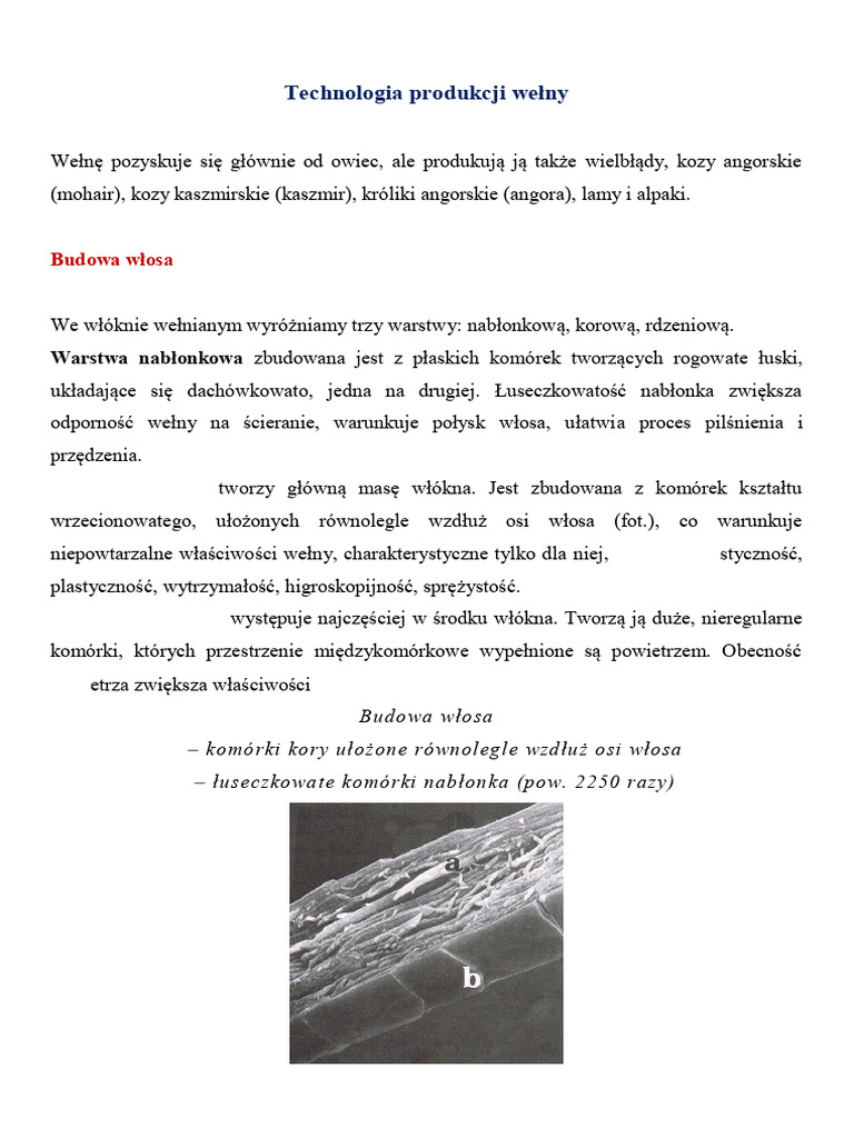 5 Technologia Produkcji Wełny | PDF
