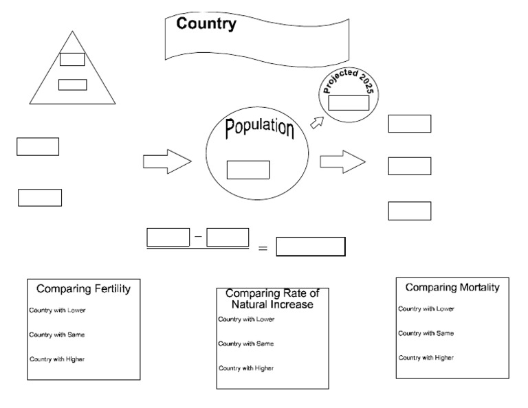 Country Populations Graphic Organizer | PDF