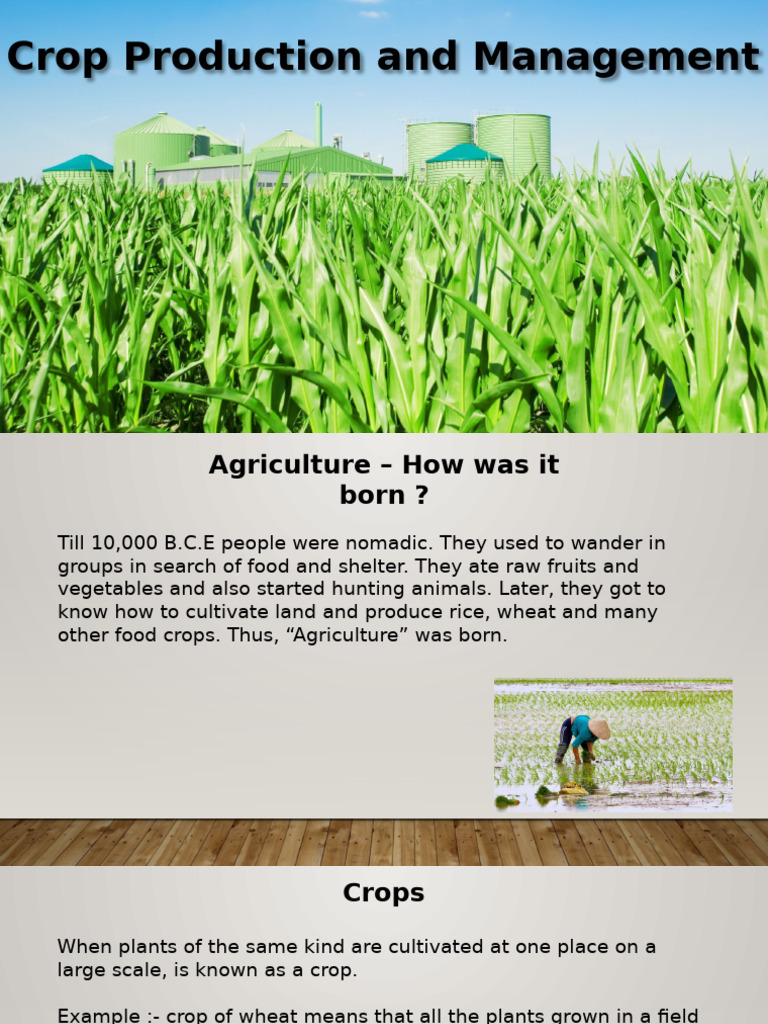 Crop Production and Management Basics | PDF | Sowing | Plough