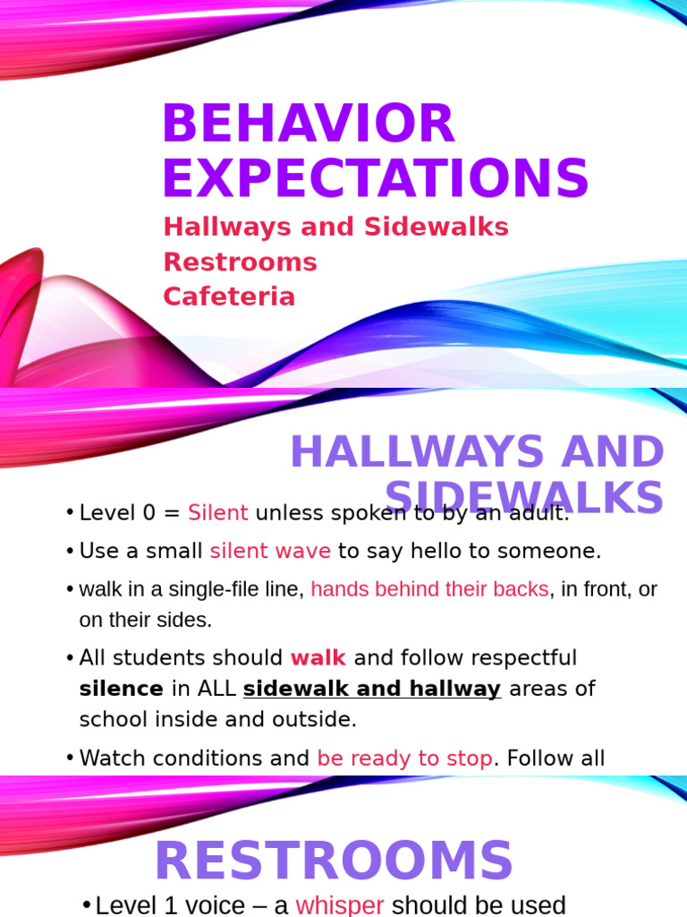 School Behavior Expectations Guide | PDF