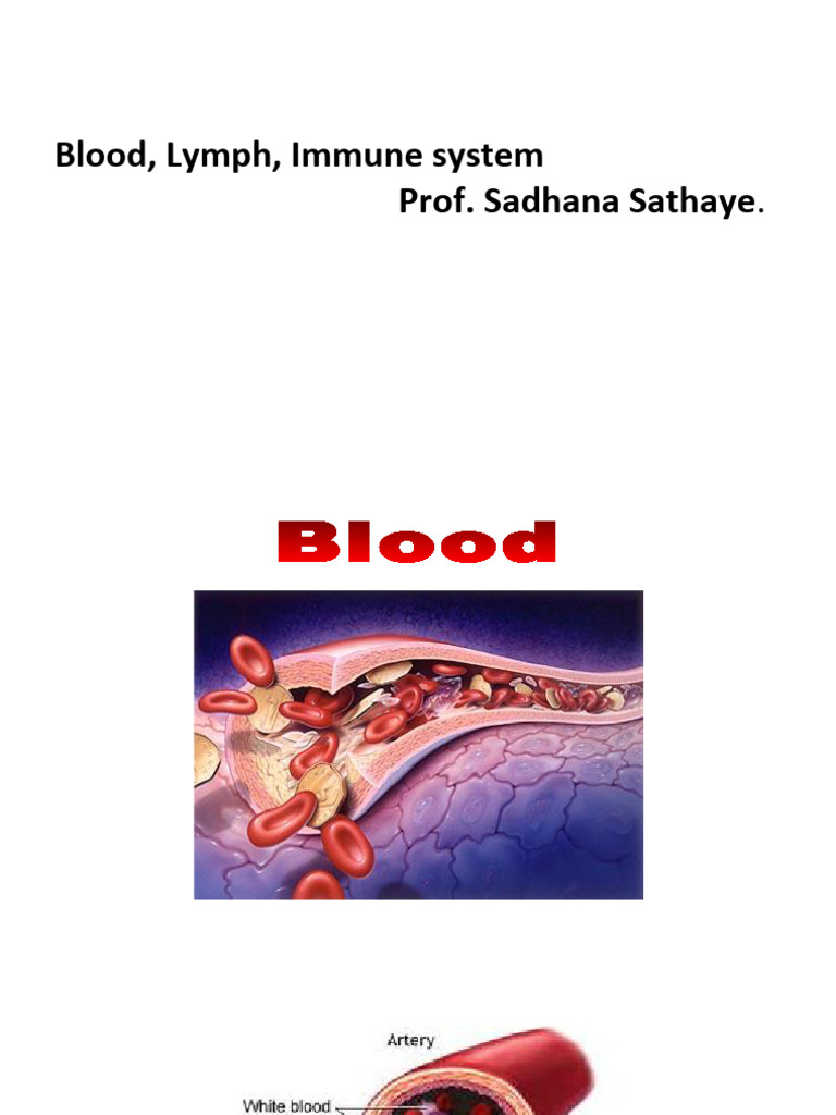 2.blood, Lymph and Immune System | PDF | Blood | Blood Cell