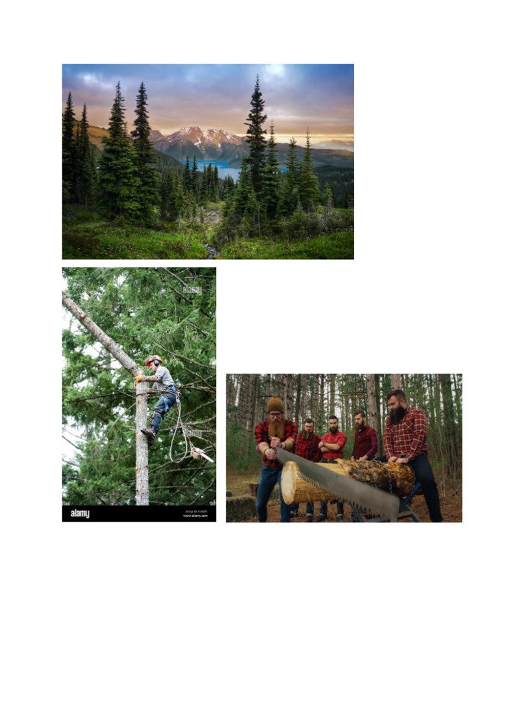 Geography Homework | PDF