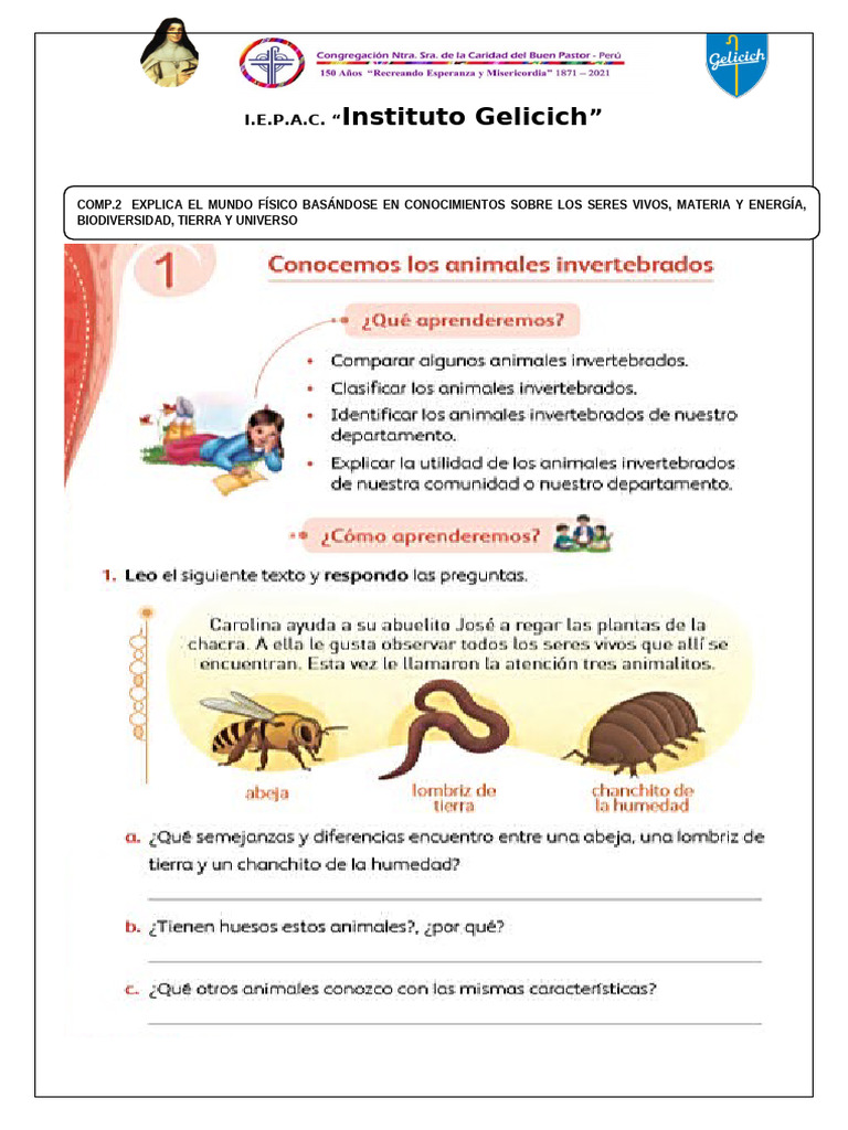 Los Animales | PDF