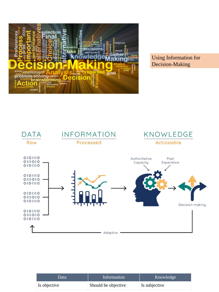 Data vs. Information in Decision-Making | PDF