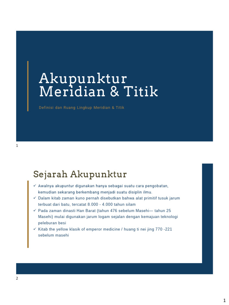 Definisi dan Fungsi Meridian Akupunktur | PDF