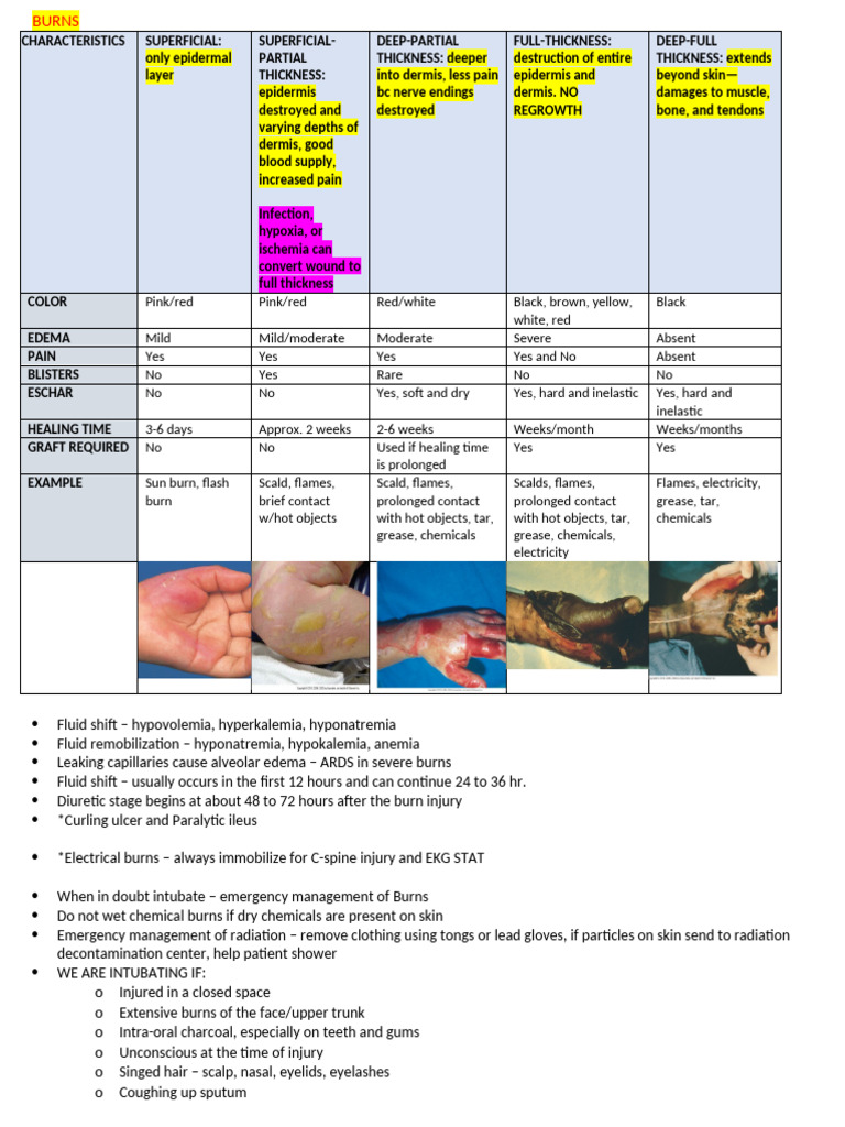 Adult III Exam 3 Key Point | PDF | Stroke | Meningitis