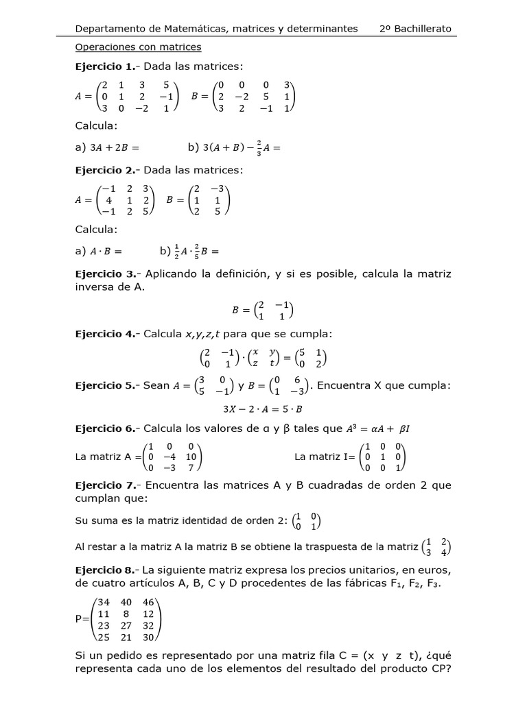 Ficha_matrices_Ejercicios_v2 | PDF | Matriz (Matemáticas) | Determinante