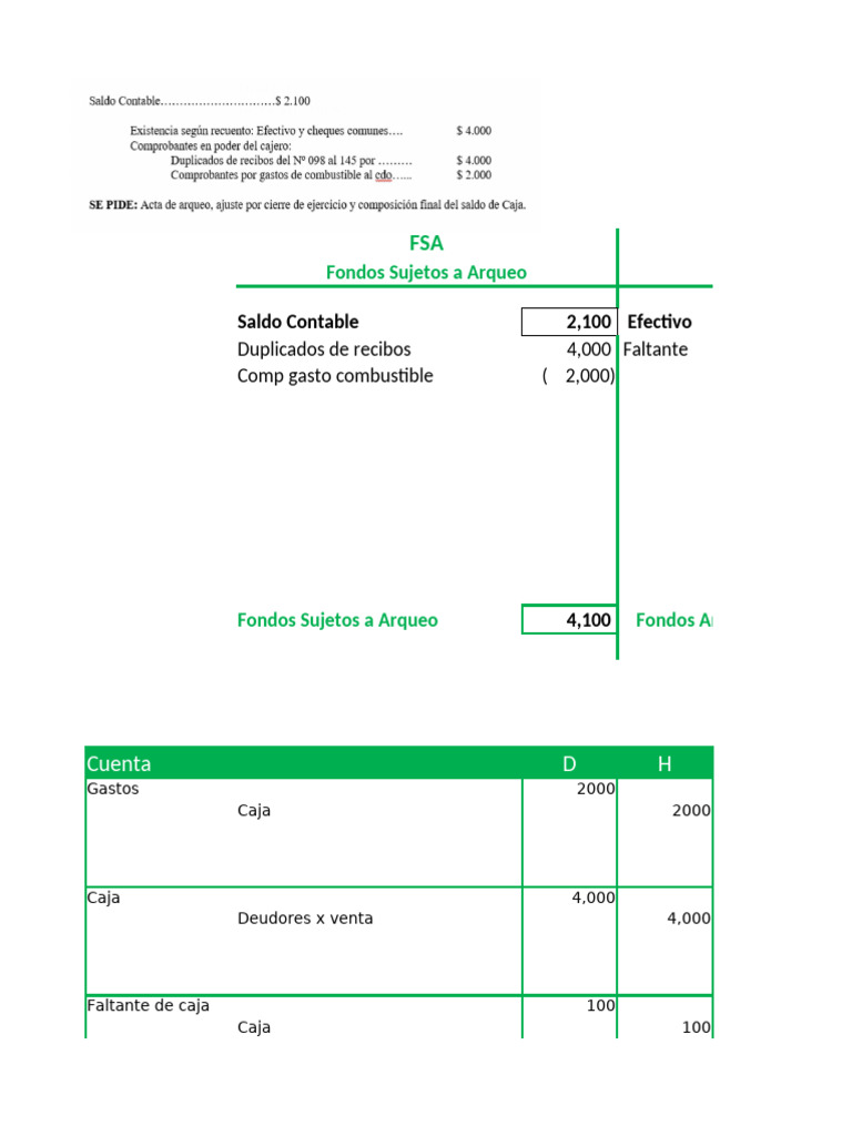 Modelo Acta de Arqueo y Libro Diario en Excel para Completar | PDF