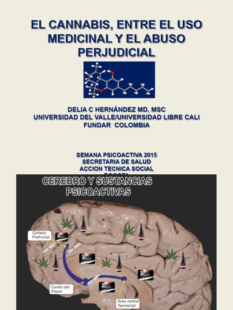1.delia Cristina Hernández | PDF | Cannabis (Droga) | Tetrahidrocannabinol