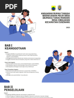 Rancangan Ad Art Bumdes 2025-2029 | PDF