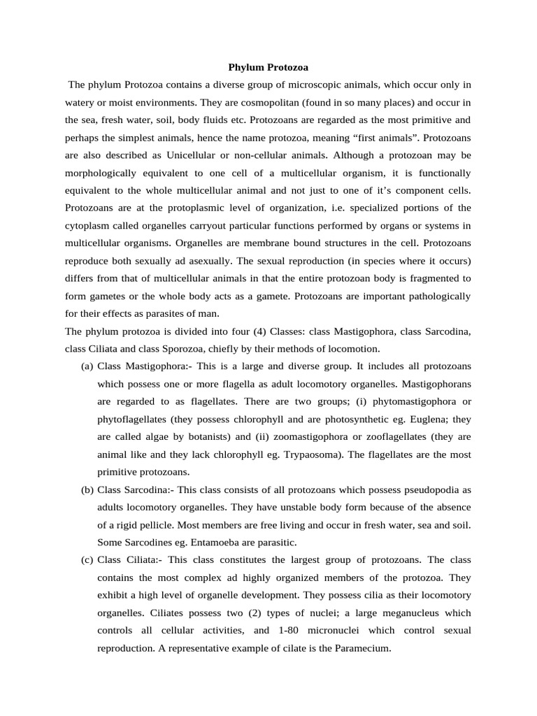 Bio102 Protozoa, Porifera Etc. | PDF | Protozoa | Biology