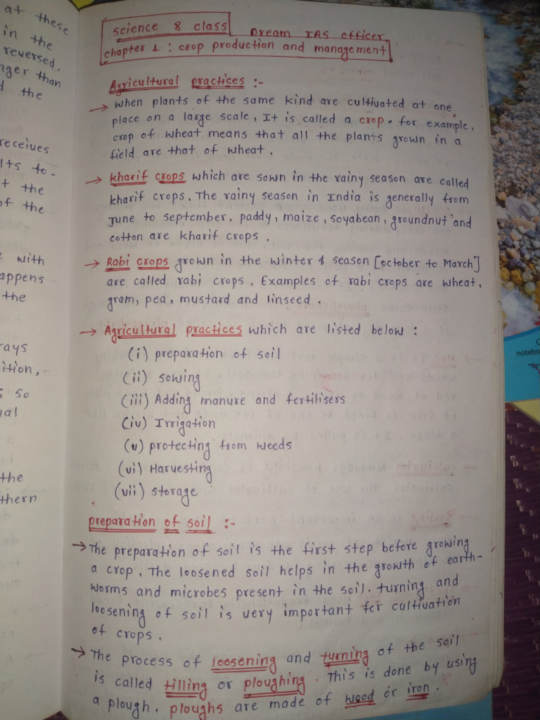 Science - 1 Class 8th | PDF