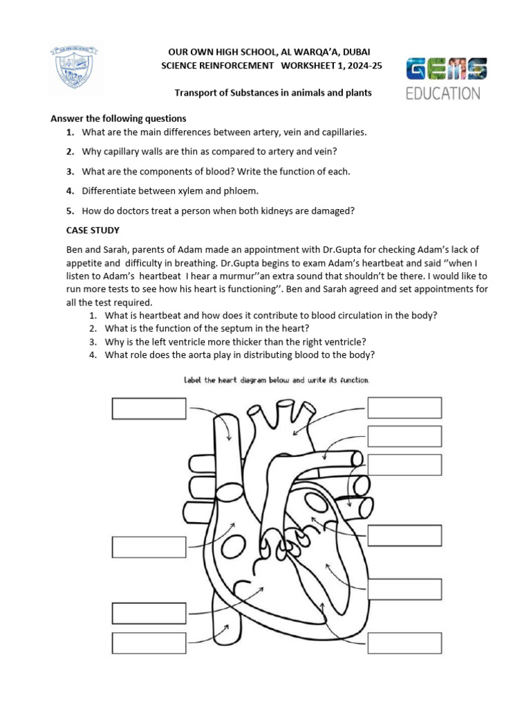 SCIENCE REINFORCEMENT WORKSHEET - 1 GRADE 7 RVSD 2 | PDF | Ventricle (Heart) | Chlorine