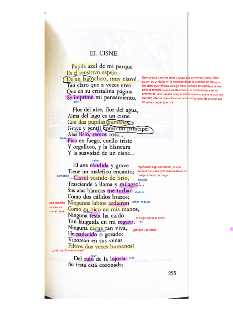 Poema sobre la Pureza y el Cisne | PDF