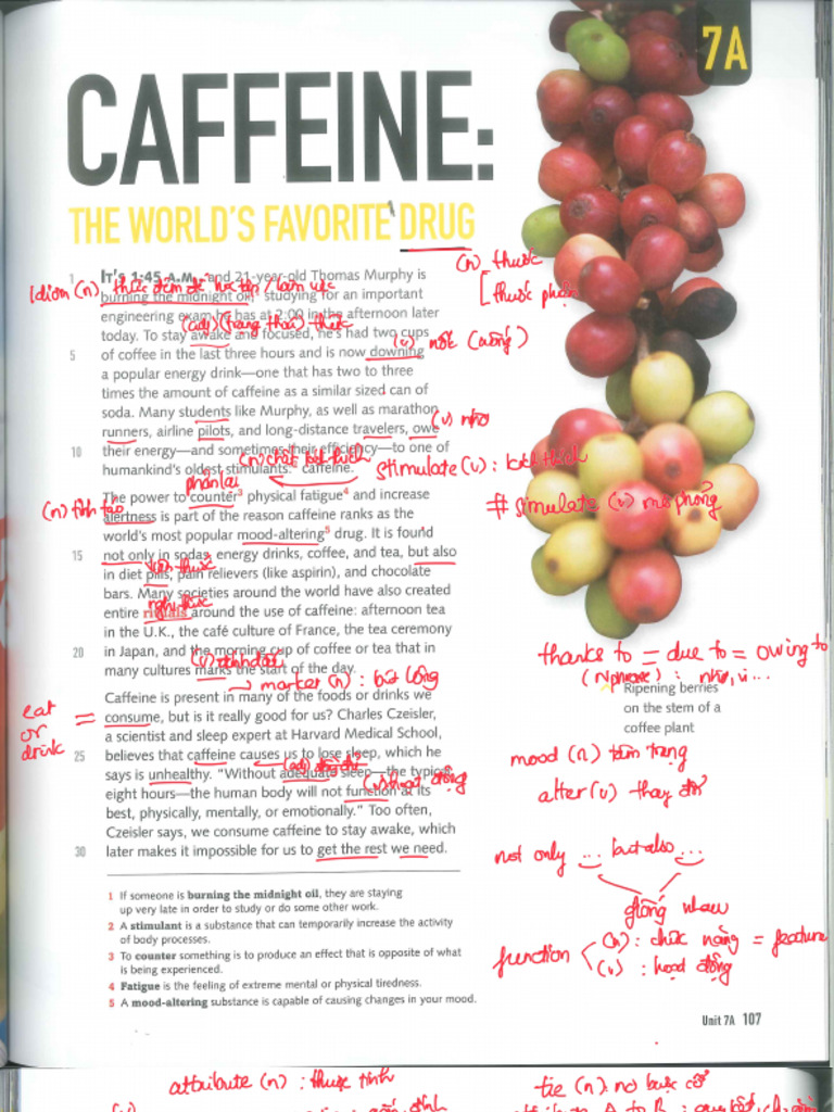 Lesson-16-Ex3-U7A | PDF