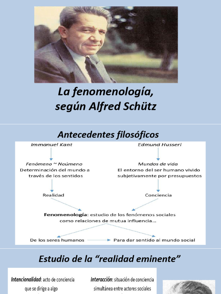 Alfred Schütz | PDF