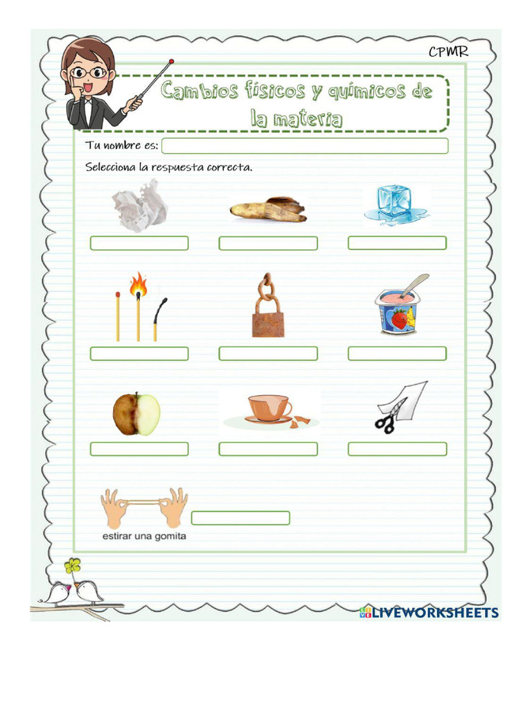 Cambios Fisicos y Quimicos de la Materia | PDF