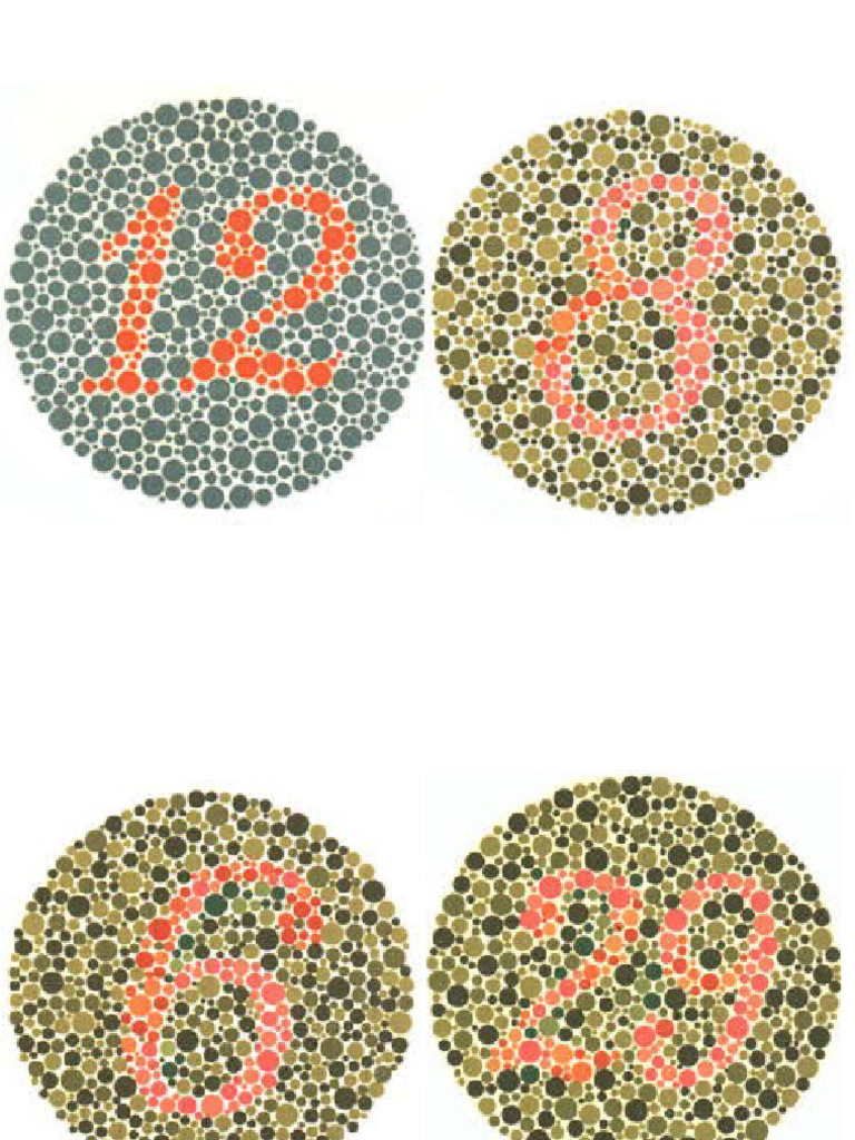 Test Ishihara | PDF