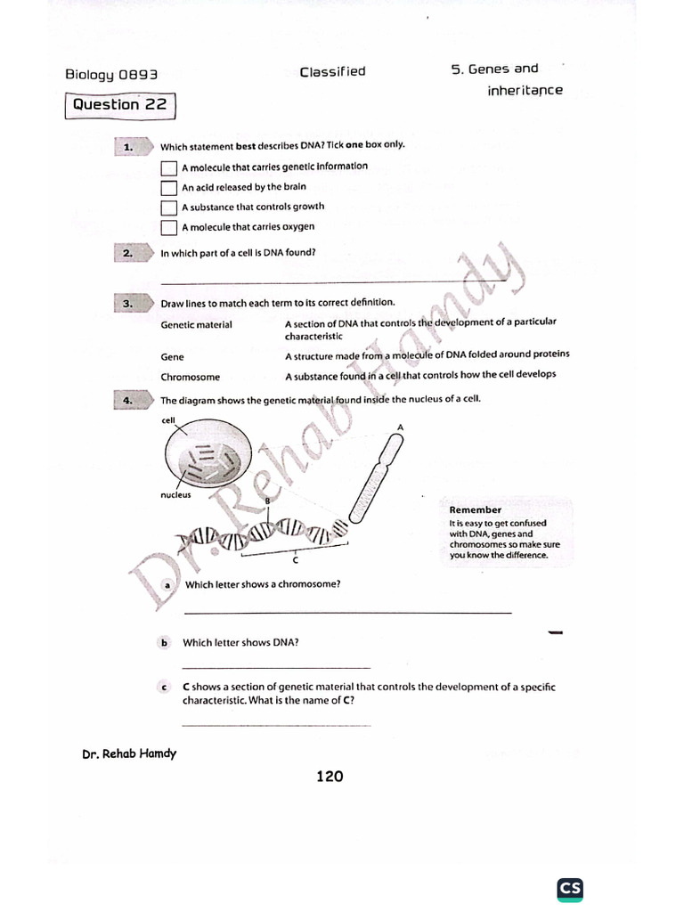 Class Test 2 Grade 8 Bio | PDF