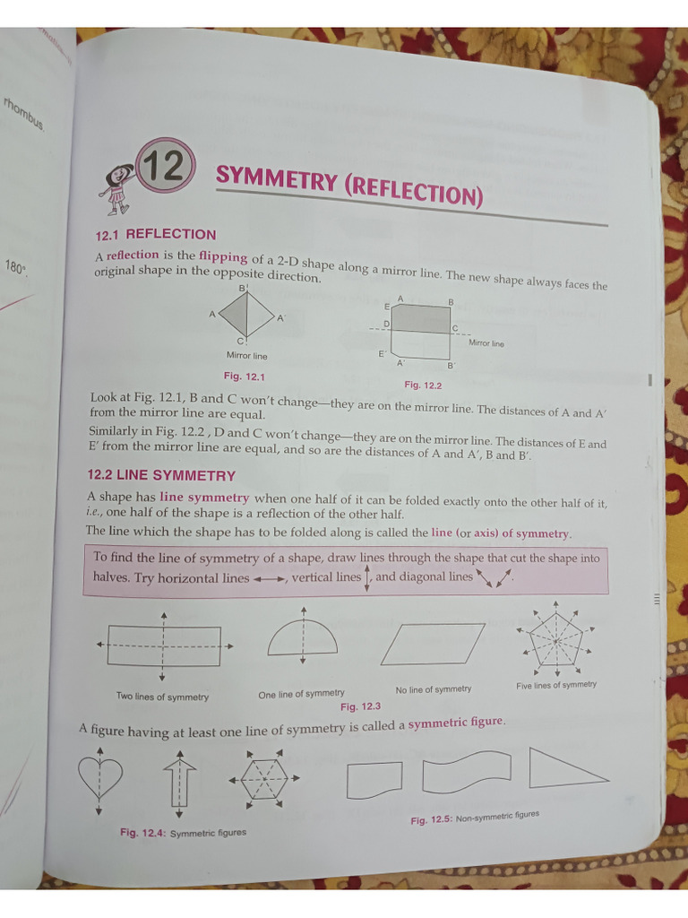 CH 12. Symmetry (Reflection) | PDF