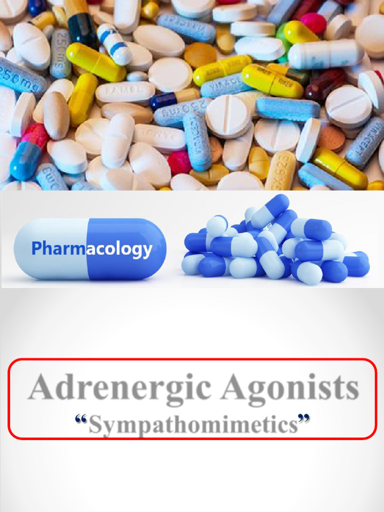 Lecture 10 11sympathetic .PDF - 330149 | PDF | Pharmacology | Receptors