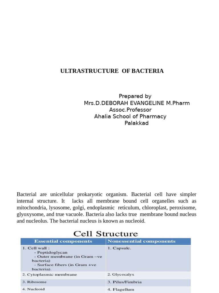 Unit 1 Ultra Structure of Bacteria | PDF | Cell (Biology) | Ribosome