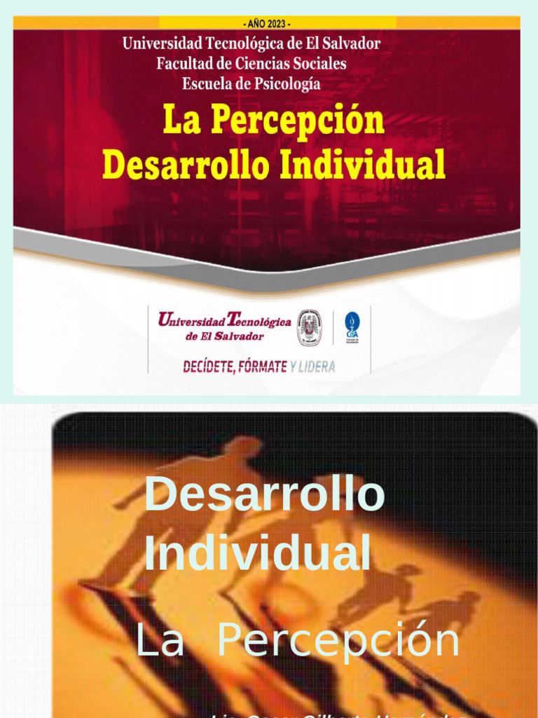 Fundamentos de la Percepción | PDF | Percepción | Sentidos