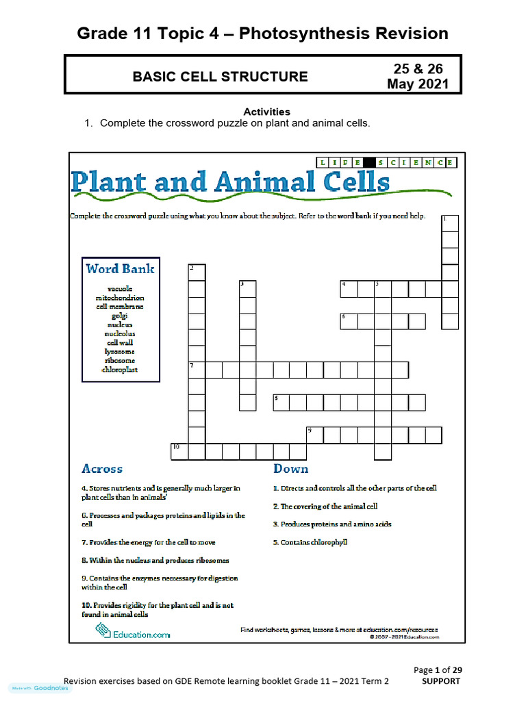 Gr.11 Life Sciences Revision | PDF | Cellular Respiration | Biology