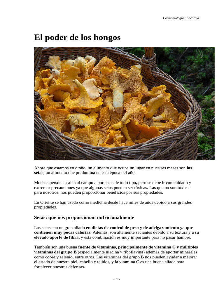 El Poder de Los Hongos | PDF | Dieta | Alimentos
