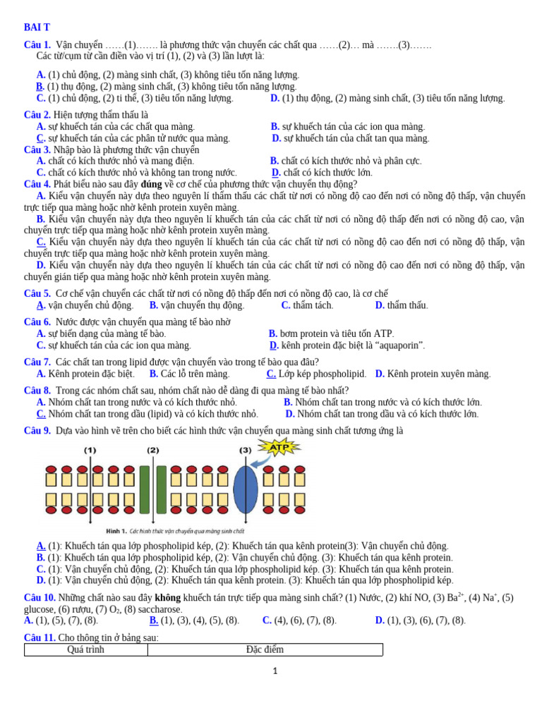 VN Chuyen CC CHT Qu MNG Sinh CHT | PDF