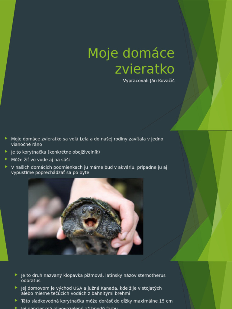 Moje Domáce Zvieratko | PDF