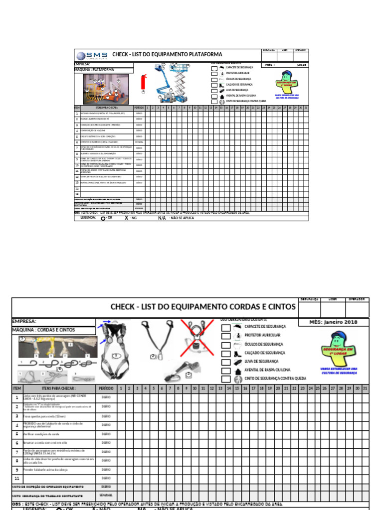 Check - List Cinto de segurança | PDF
