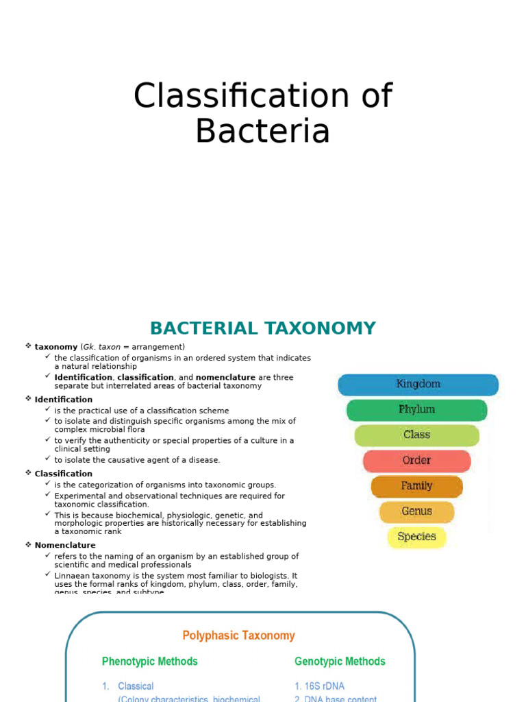 Bacterial Taxonomy and Identification Methods | PDF | Dna | Dna Sequencing