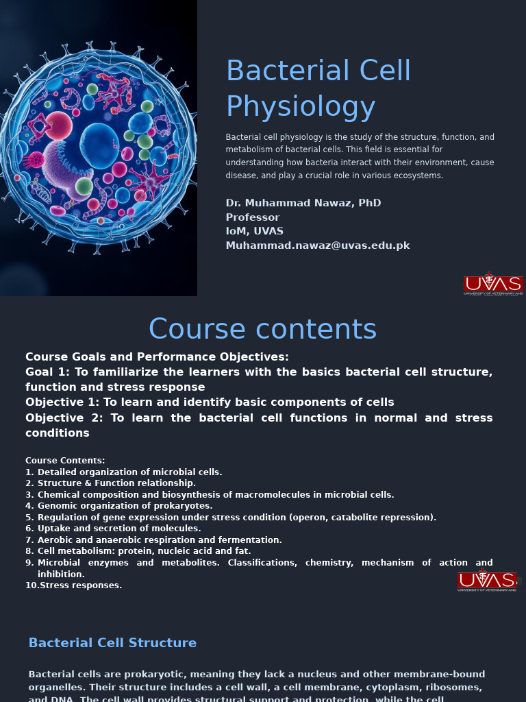 Bacterial Cell Physiology An Introduction | PDF | Cellular Respiration ...