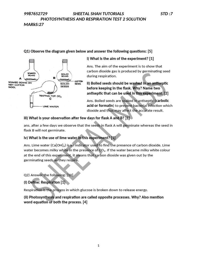 Photosynthesis and Respiration Test 2 Solution | PDF | Cellular ...