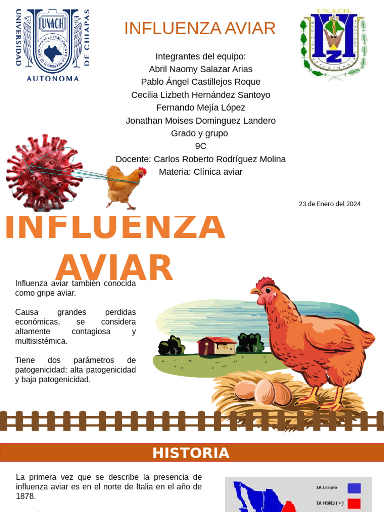 Aves Influenza Aviar | PDF | Influenza | Influenza aviar