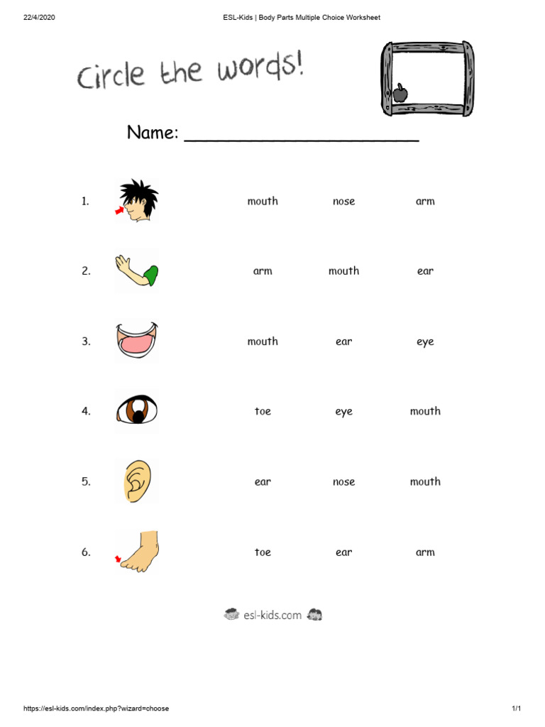 Body Parts Multiple Choice | PDF