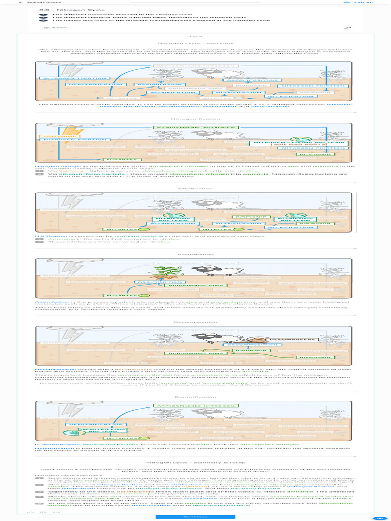 Nitrogen Cycle Processes Guide | PDF | Nitrogen | Nitrate